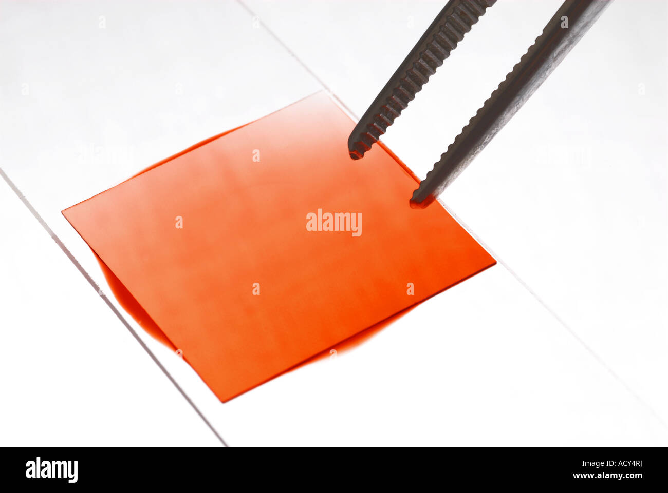 Lame de microscope Banque de photographies et d’images à haute ...