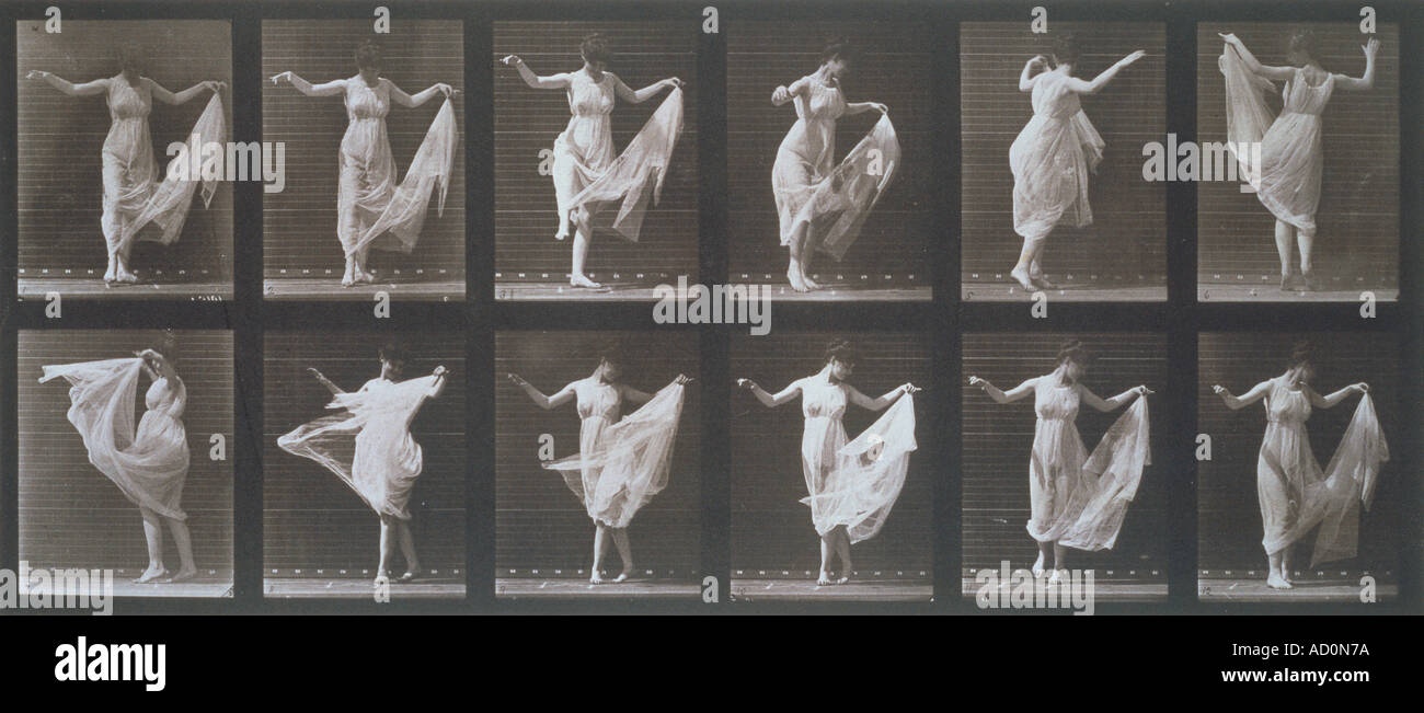 Eadweard muybridge animal locomotion Banque de photographies et d ...