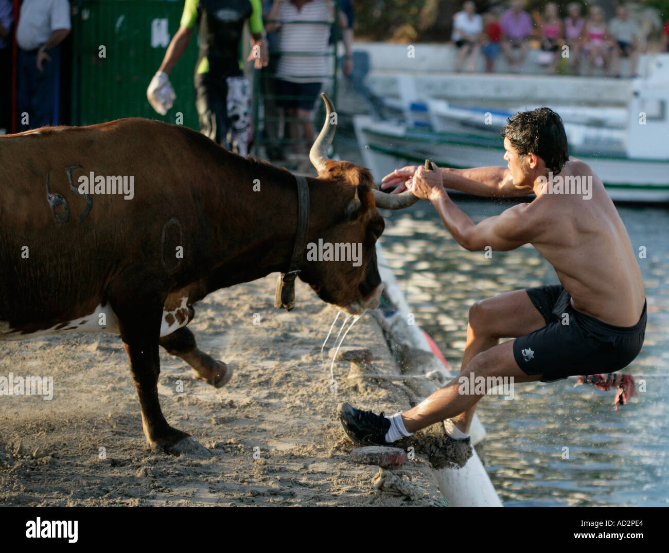 Attraper le taureau par les cornes Banque de photographies et d’images à haute résolution - Alamy
