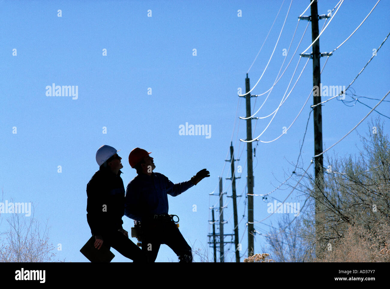Telecommunication wires Banque de photographies et d’images à haute ...