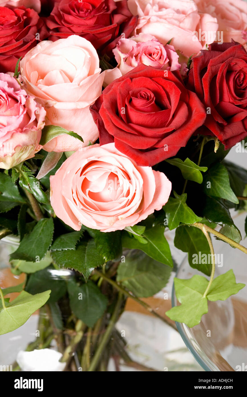 Roses dans un vase Banque de photographies et d’images à haute ...