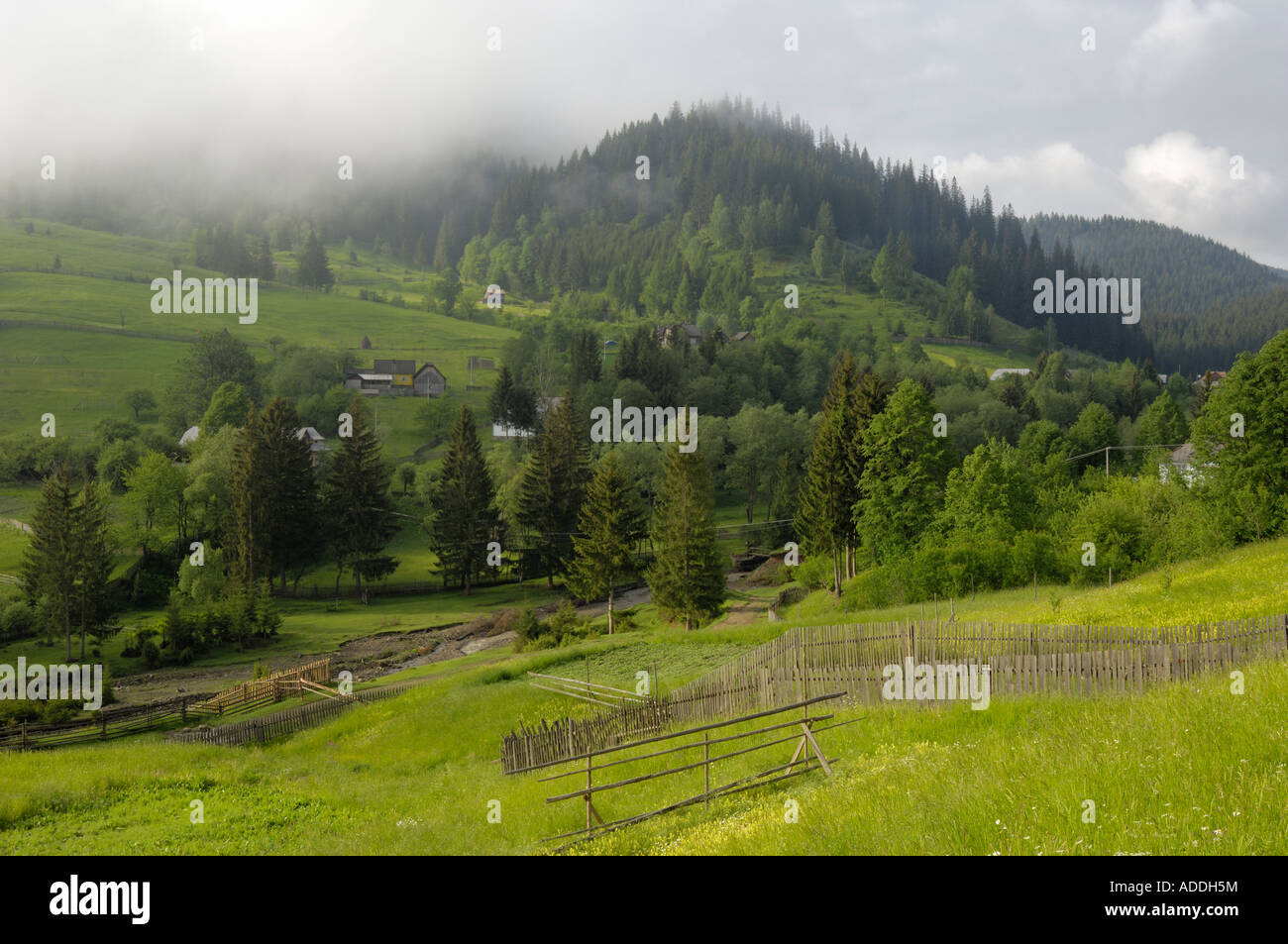 Carpates de Moldavie et de Bucovine, Sud / nord de Suceava, Roumanie ...