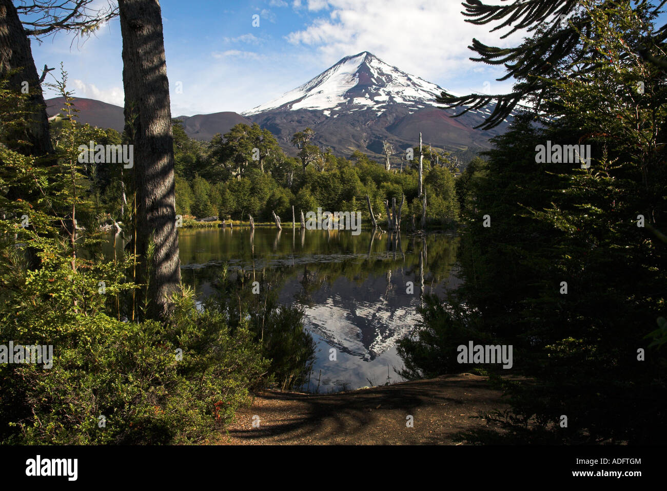 Volcan llaima volcan conguillio Banque de photographies et d’images à ...