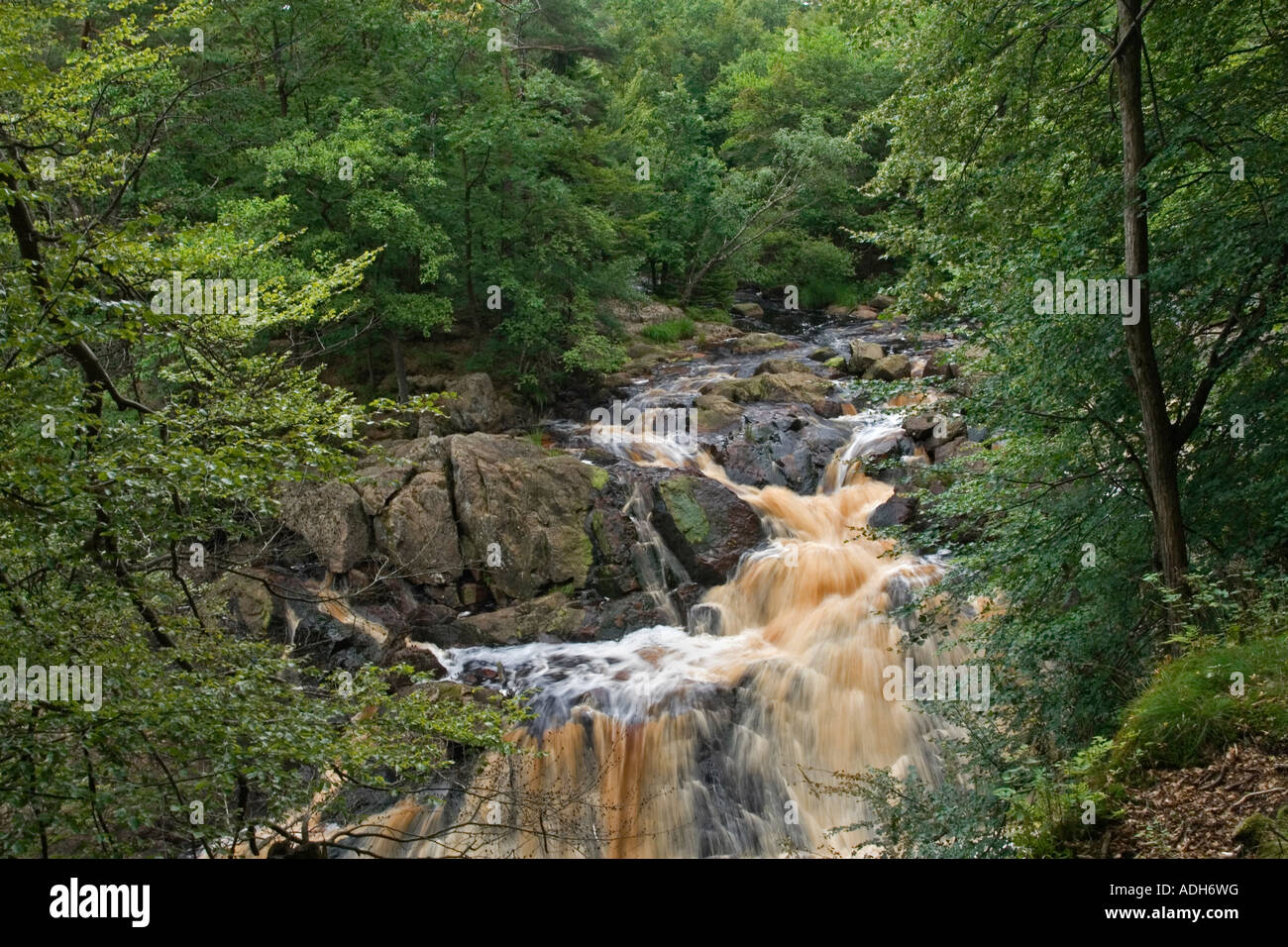 Chute danska Banque de photographies et d’images à haute résolution - Alamy
