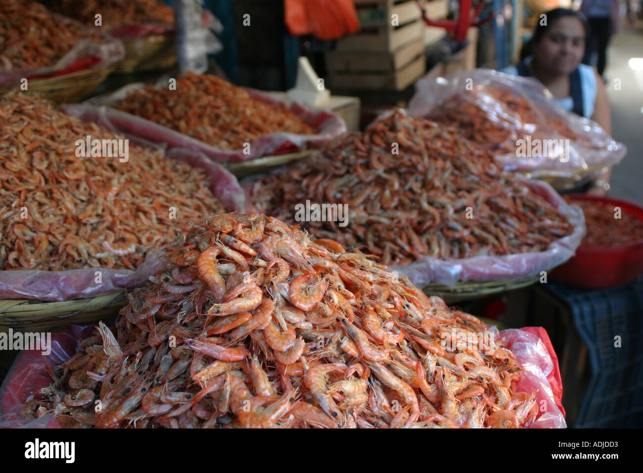 étal de poisson mexique Banque de photographies et d’images à haute ...