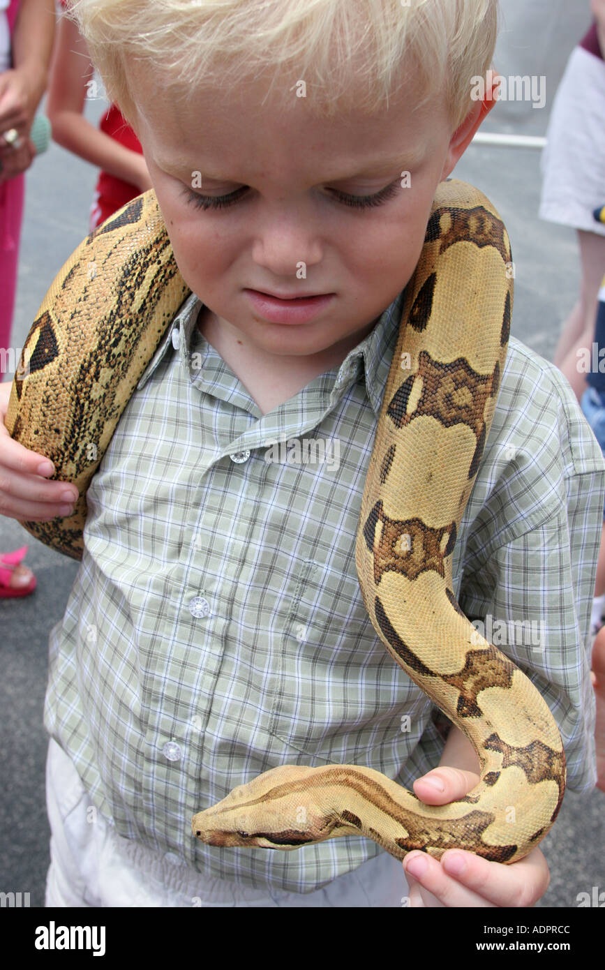 Visiteurs serpent Banque de photographies et d’images à haute ...
