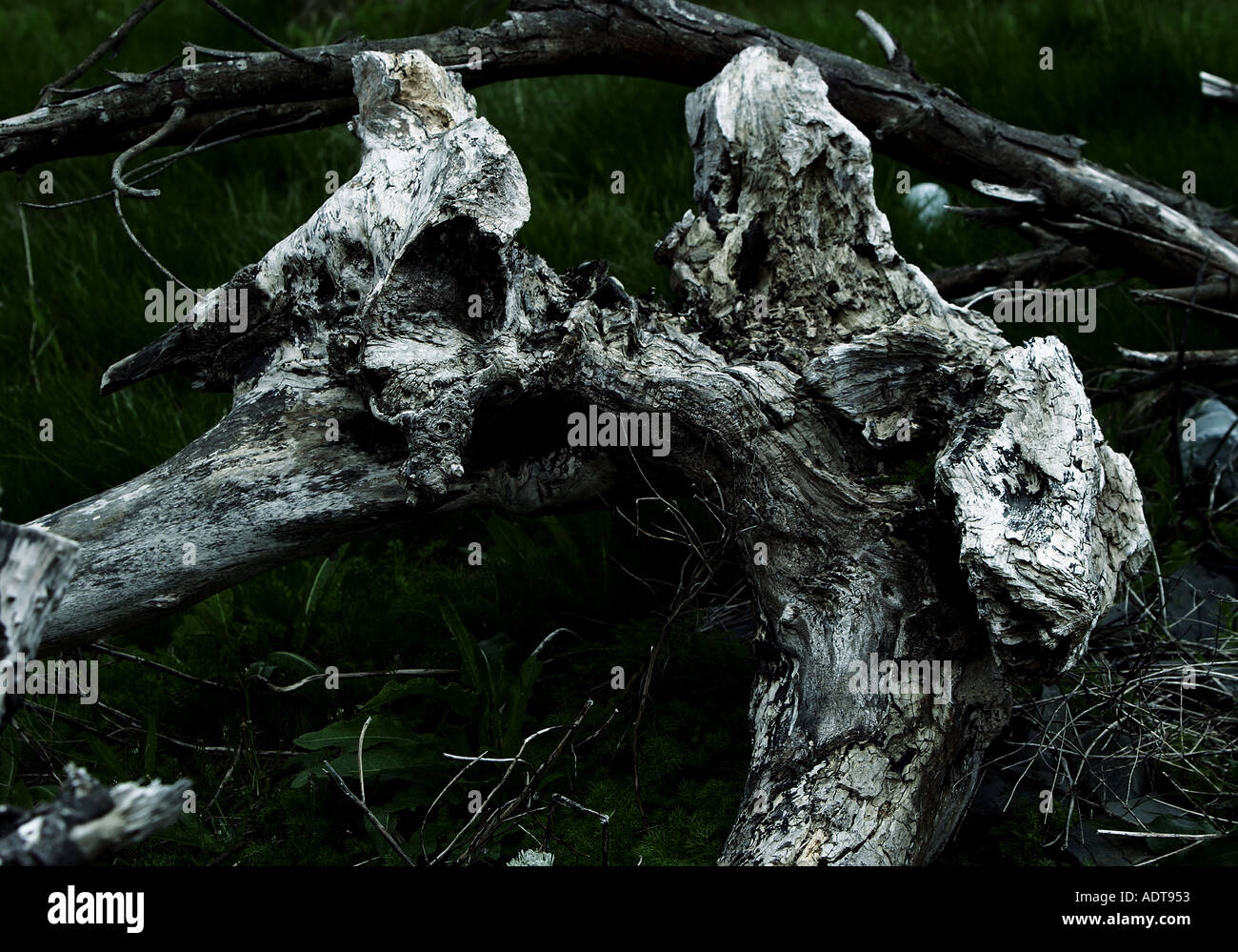 Wallog plage Banque de photographies et d’images à haute résolution - Alamy