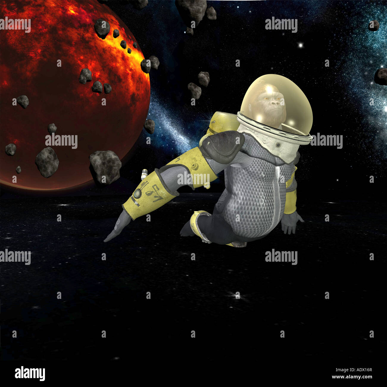 Espace singe Banque de photographies et d’images à haute résolution - Alamy