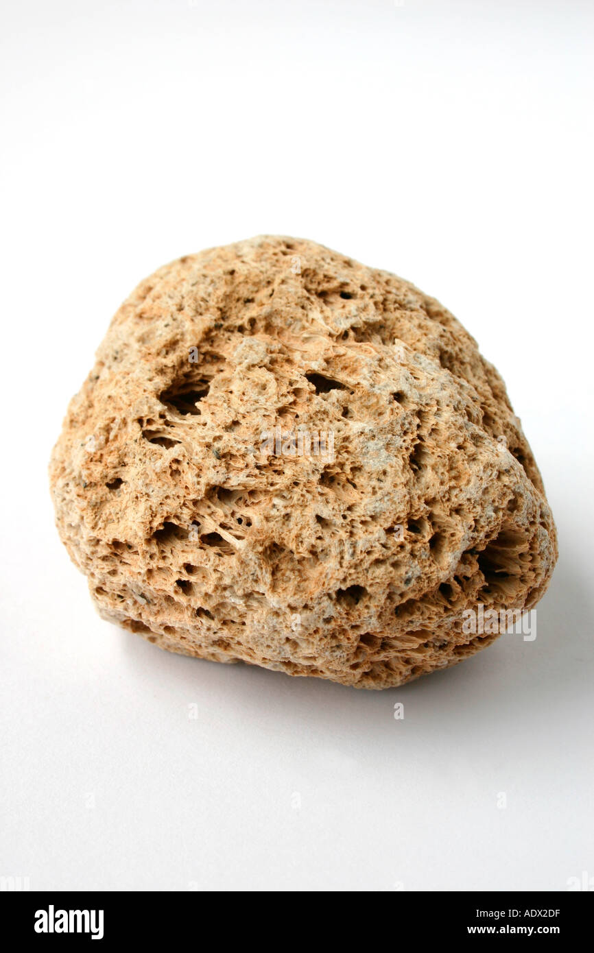 Pumice rock white background Banque de photographies et d’images à ...