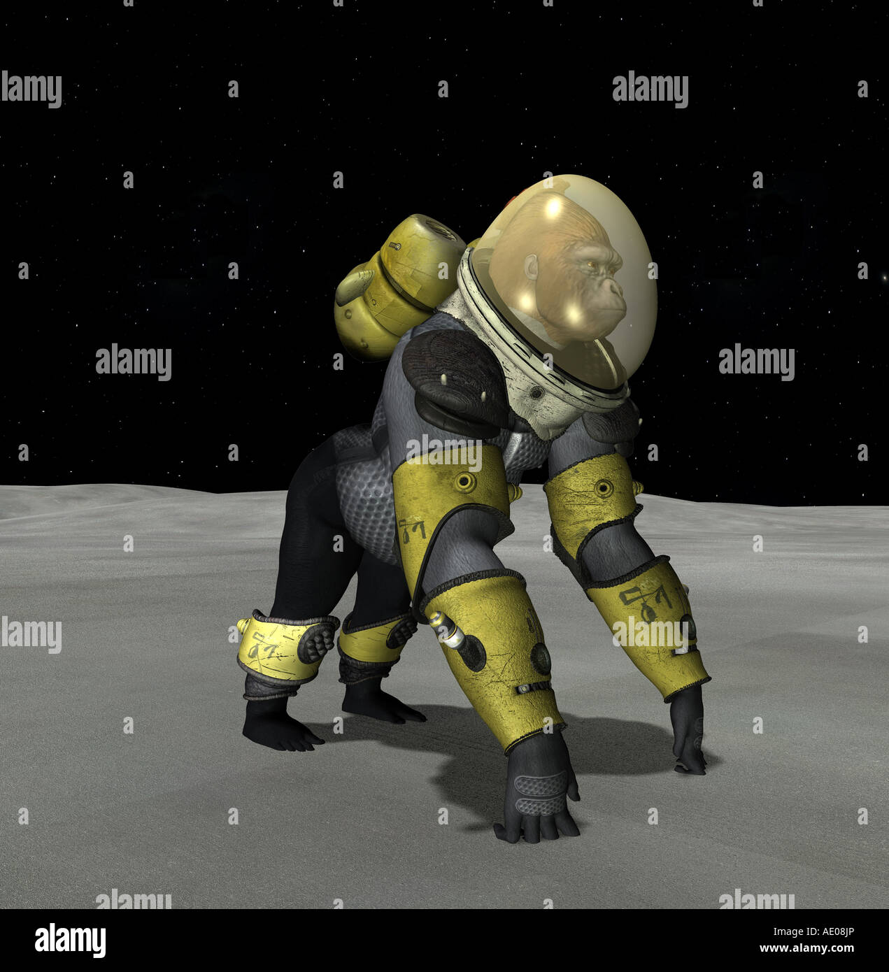 Espace singe Banque de photographies et d’images à haute résolution - Alamy