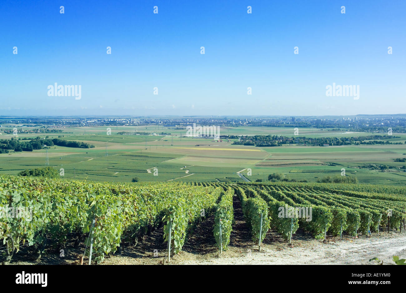 Champagne wine growing district Banque de photographies et d’images à ...