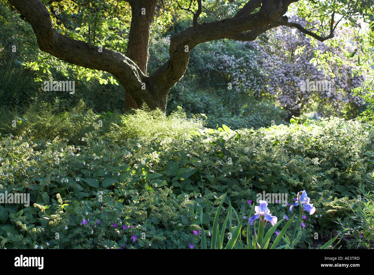 Planten un blomen jardin botanique Banque de photographies et d’images ...