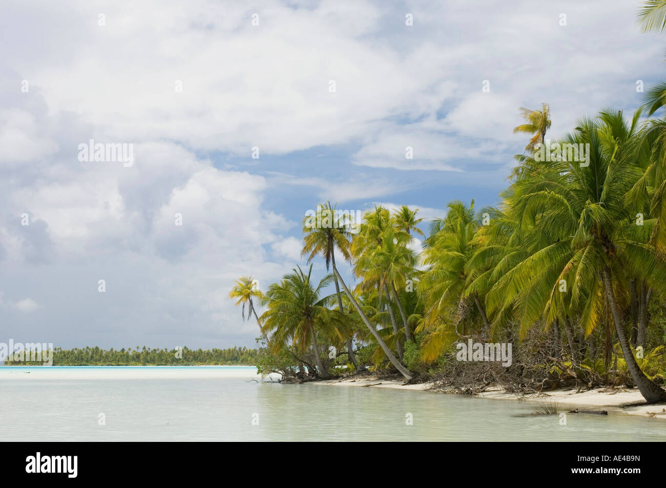 Blue Lagoon, Rangiroa, Tuamotu, Polynésie Française, îles du Pacifique ...