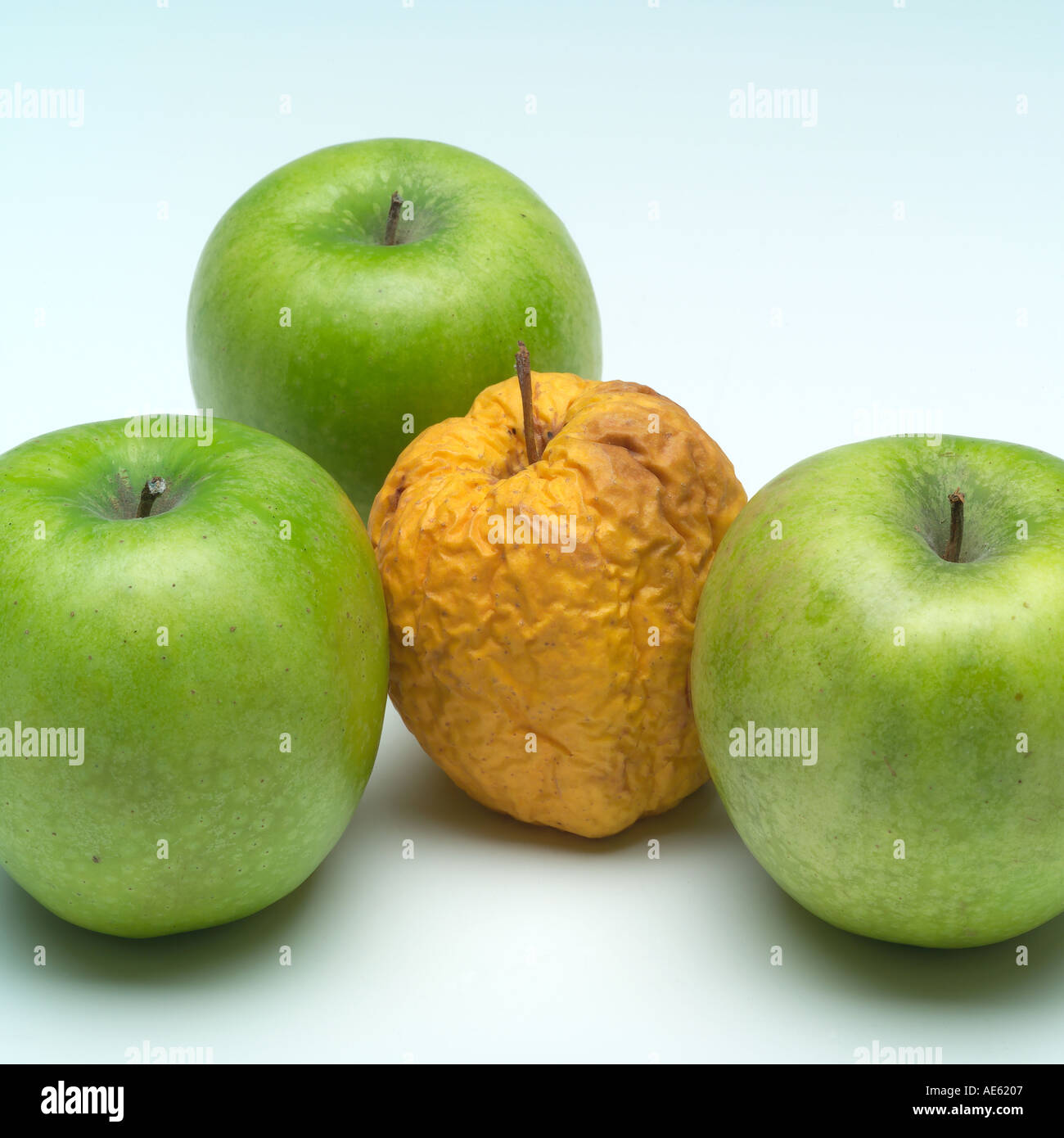Comparer des pommes avec des pommes Banque de photographies et d’images ...