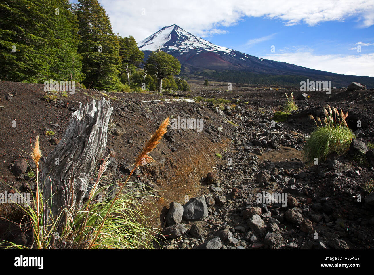 Volcan llaima volcan conguillio Banque de photographies et d’images à ...