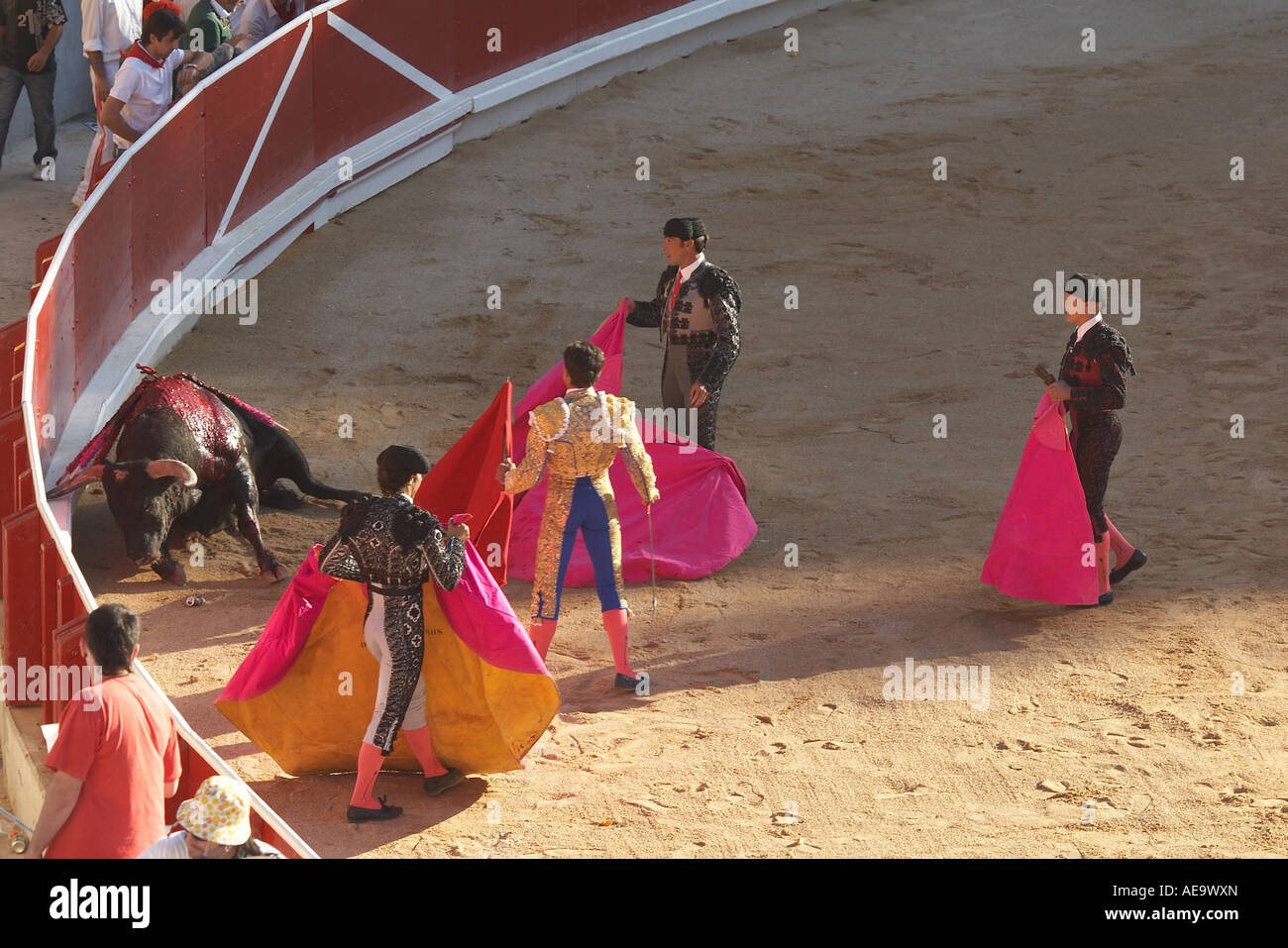 Corrida Fiesta de San Fermin Pamplona Espagne Photo Stock - Alamy