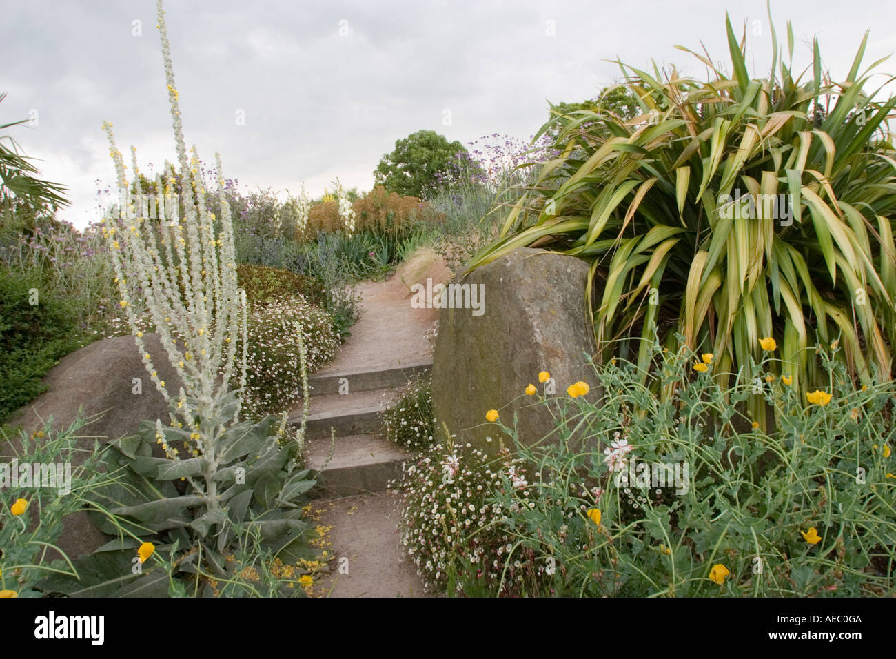 Jardin sec rhs hyde hall Banque de photographies et d’images à haute ...