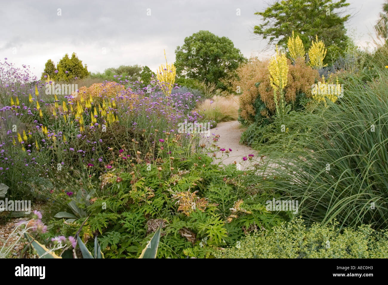 Rhs hyde hall dry garden Banque de photographies et d’images à haute ...