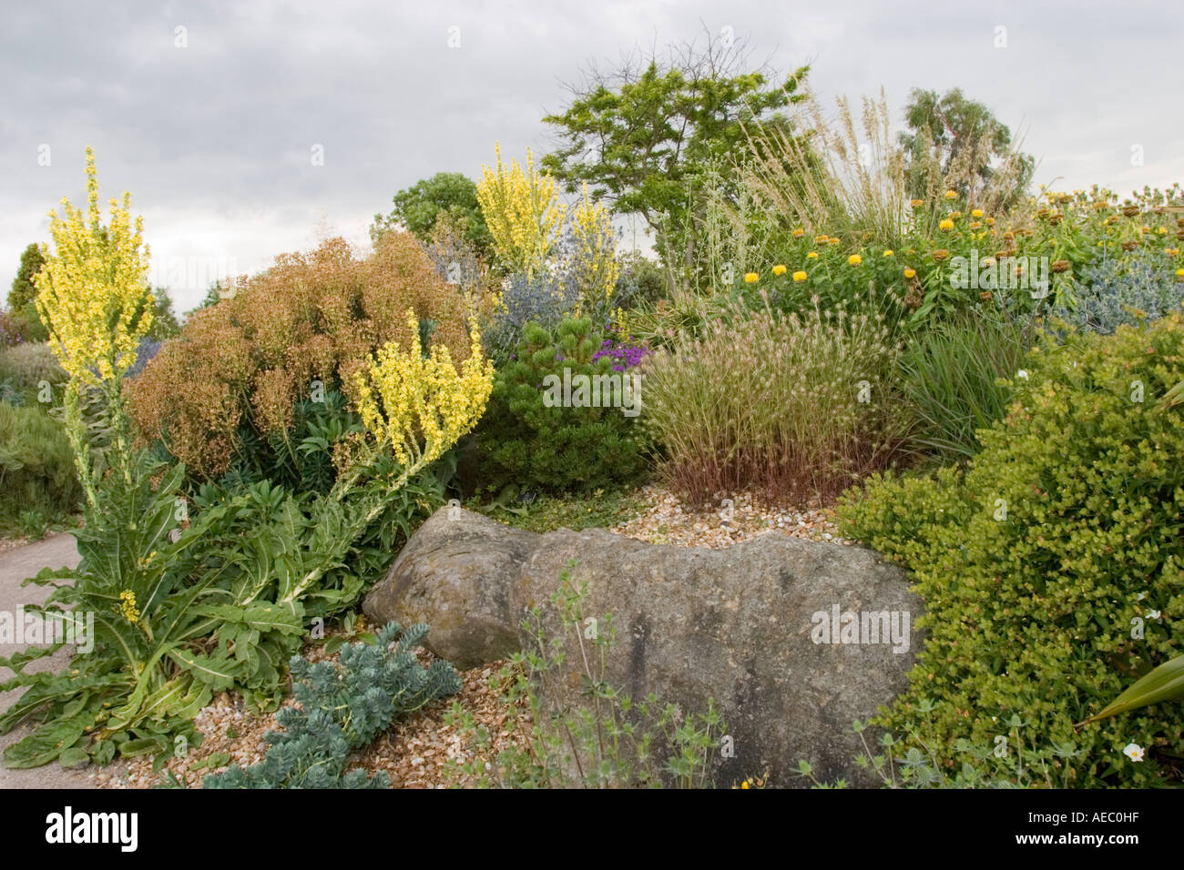 Jardin sec rhs hyde hall Banque de photographies et d’images à haute ...