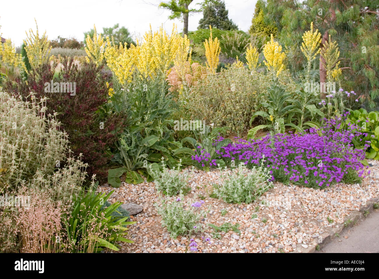 Rhs hyde hall dry garden Banque de photographies et d’images à haute ...