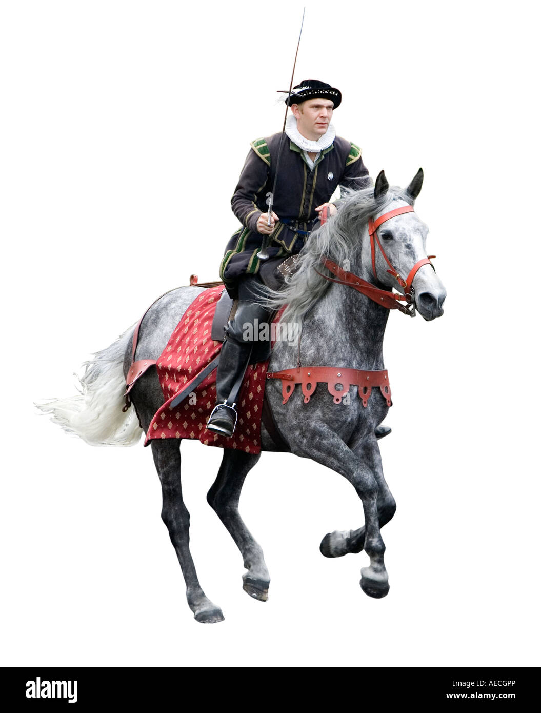 Le chevalier Banque de photographies et d’images à haute résolution - Alamy