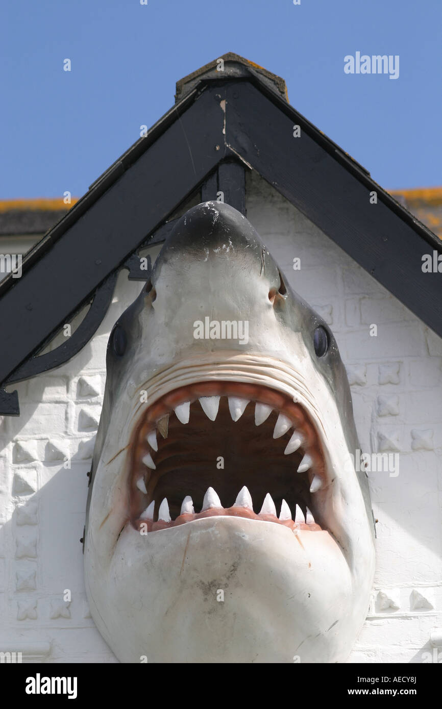 Tête de requin Banque de photographies et d’images à haute résolution ...