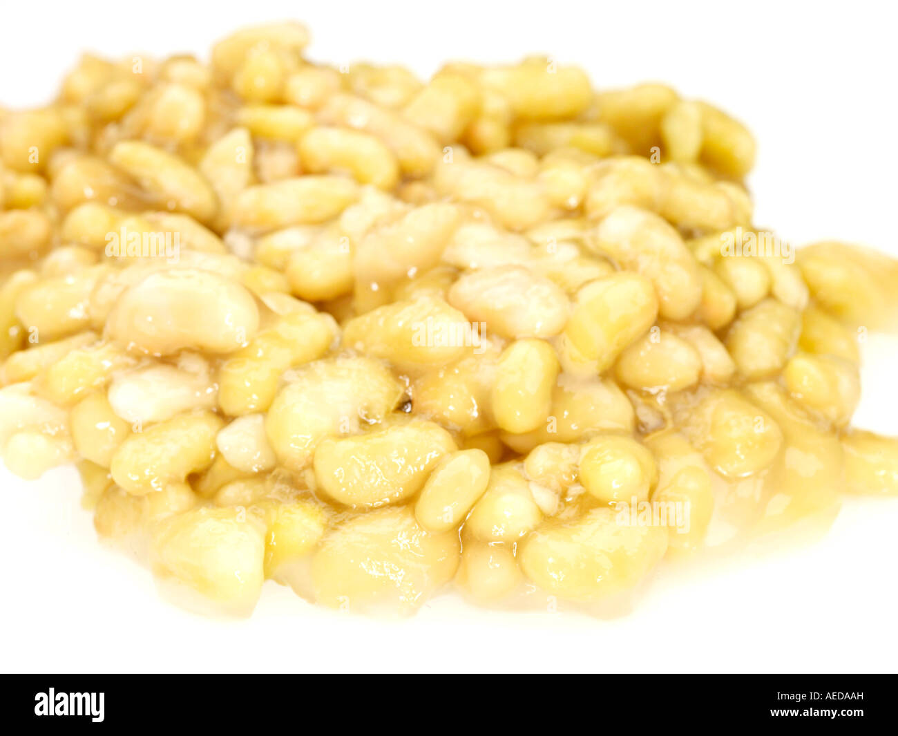 Flageolet beans Banque de photographies et d’images à haute résolution ...