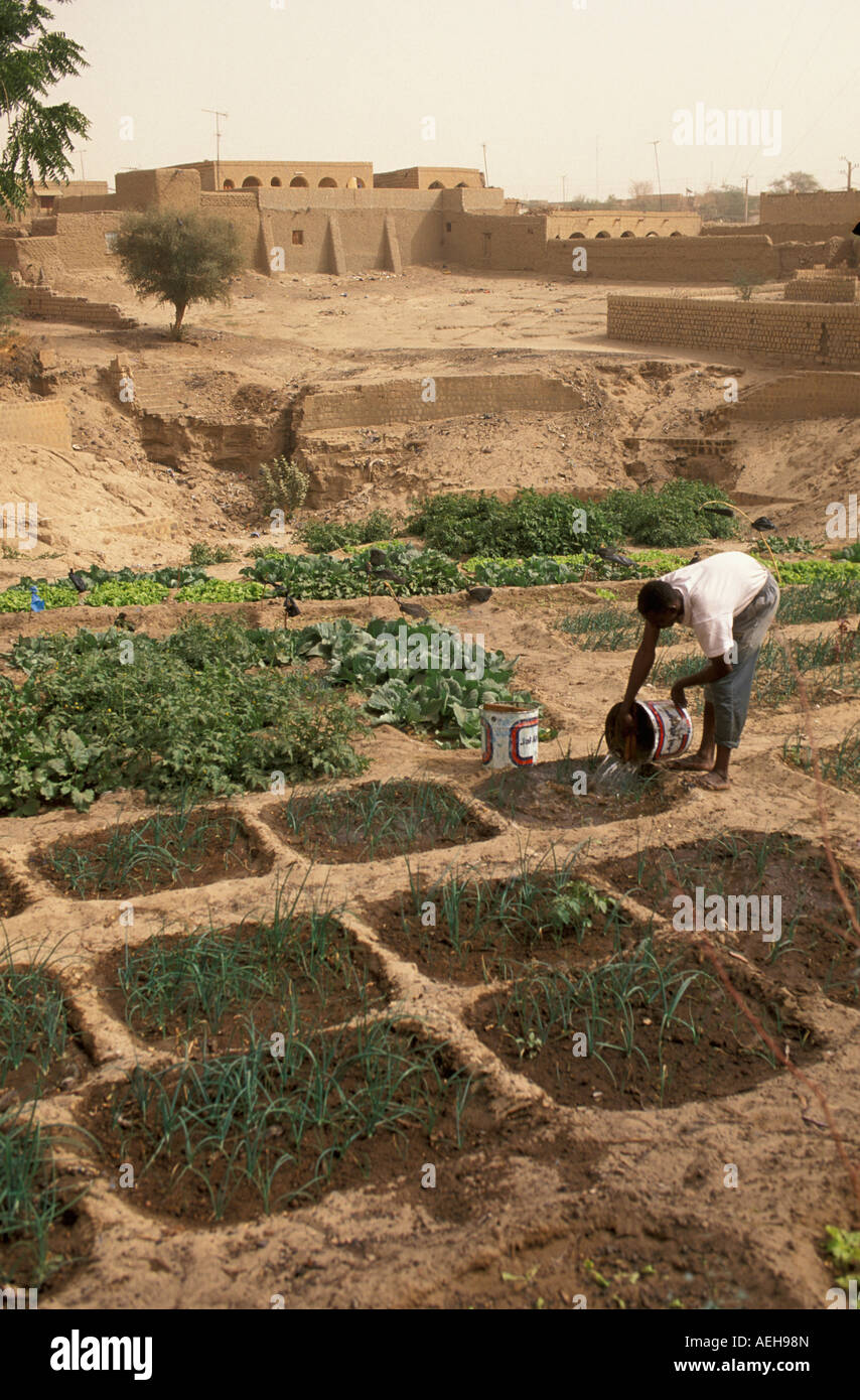 Timboektoe timbuctu timbuktu tombouctou azawad Banque de photographies ...
