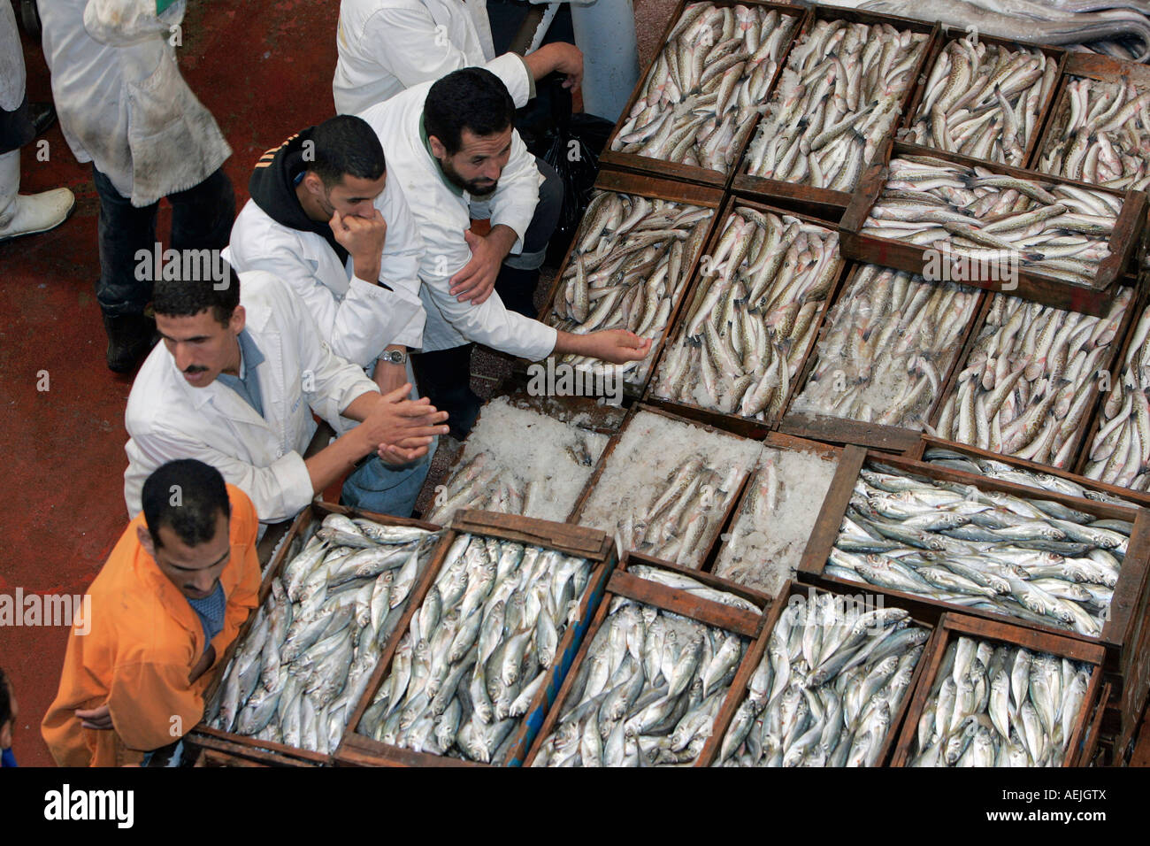 Marché de poissons à Agadir, au Maroc Photo Stock - Alamy