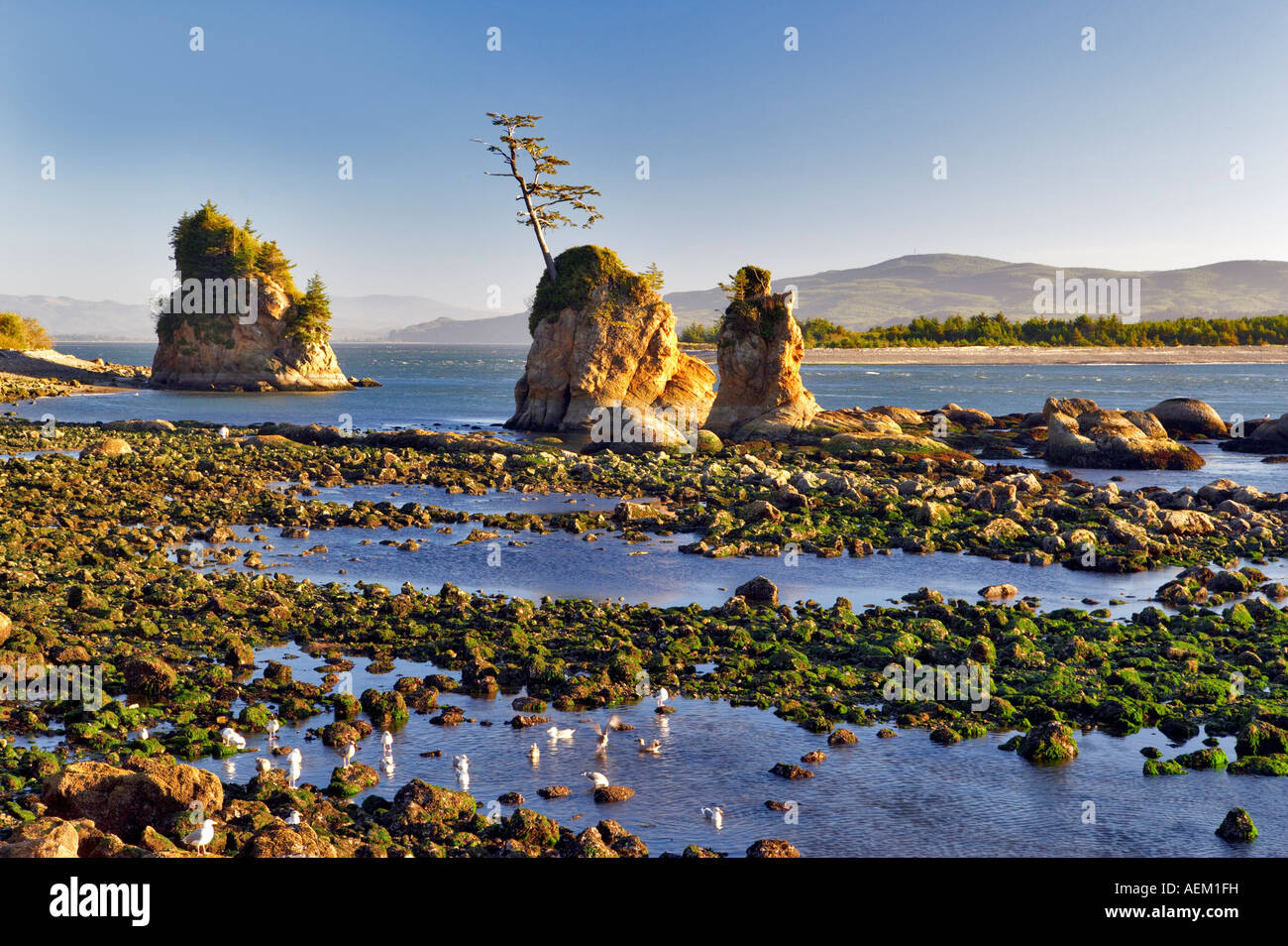 The three graces Banque de photographies et d’images à haute résolution ...