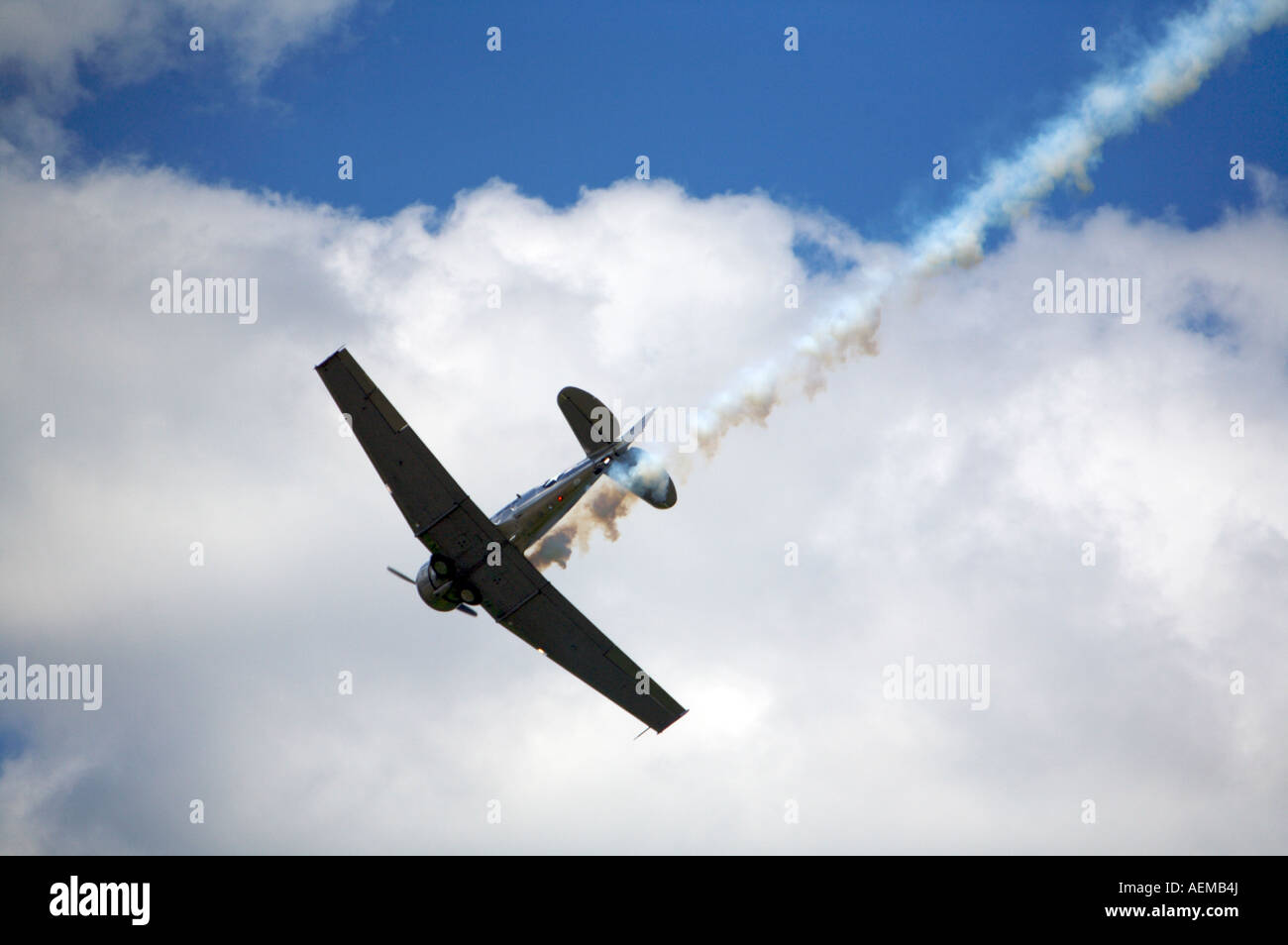 T 6 Texan North American Harvard ou T 6 ou Texan SNJ WW2 formateur ...