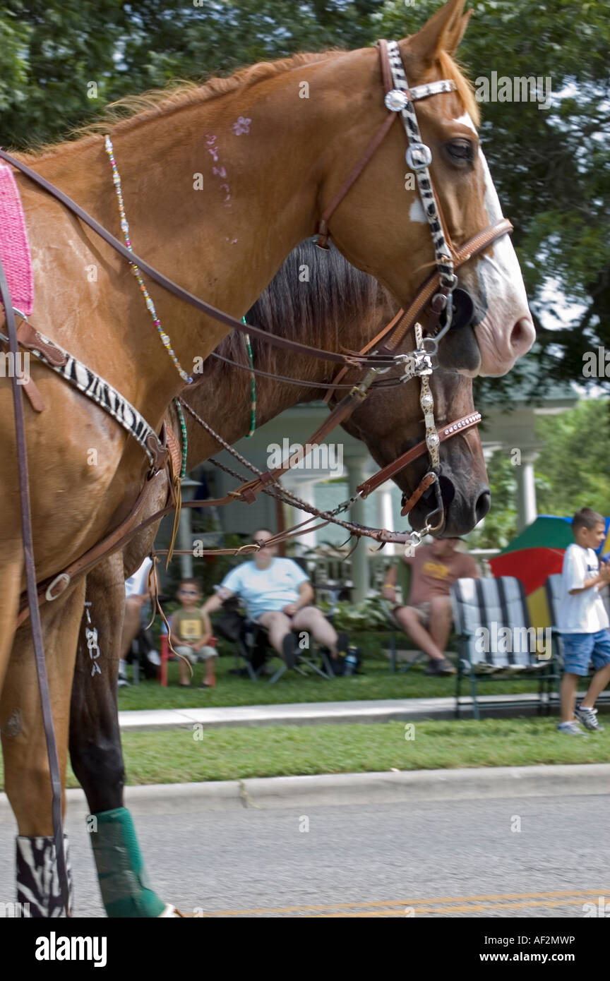 Cheval western selle parade Banque de photographies et d’images à haute ...