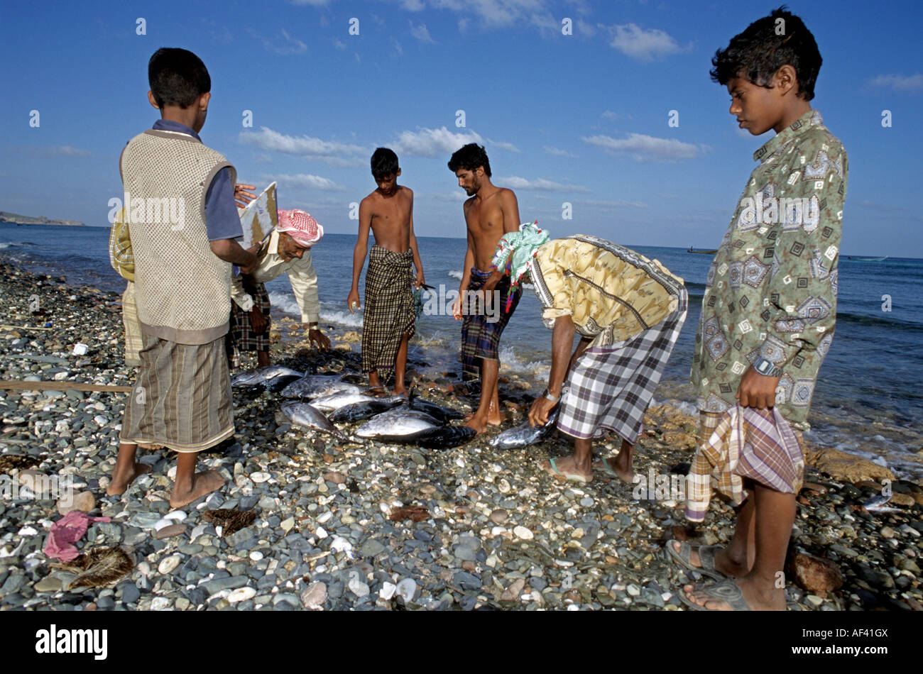 Marché de poissons de l'île de Socotra Yémen Hadibu Photo Stock - Alamy