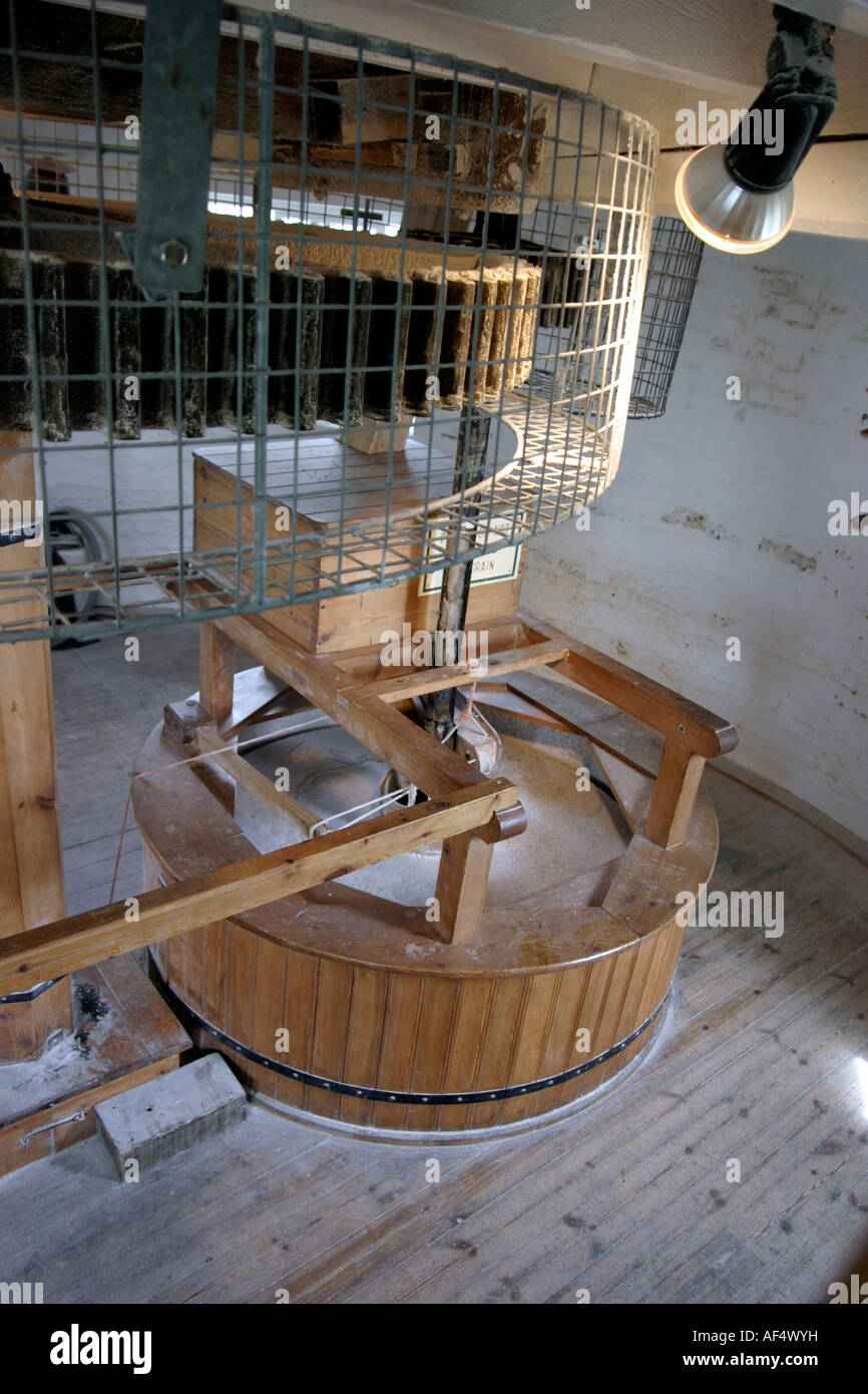 Arbre wallower Banque de photographies et d’images à haute résolution ...