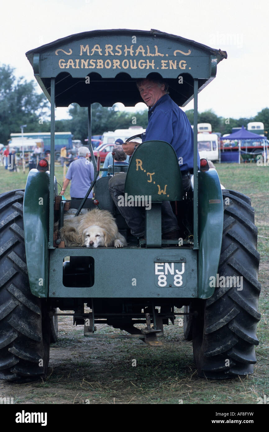Dog on tractor Banque de photographies et d’images à haute résolution ...