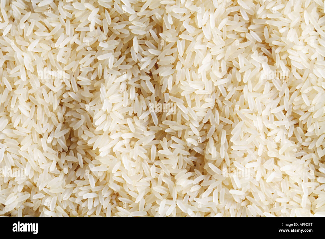 Riz étuvé Banque de photographies et d’images à haute résolution - Alamy