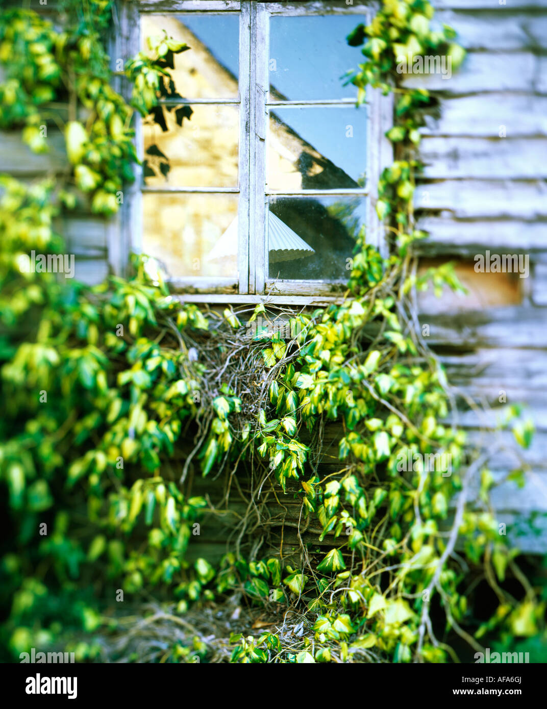 Fiddleford mill Banque de photographies et d’images à haute résolution ...