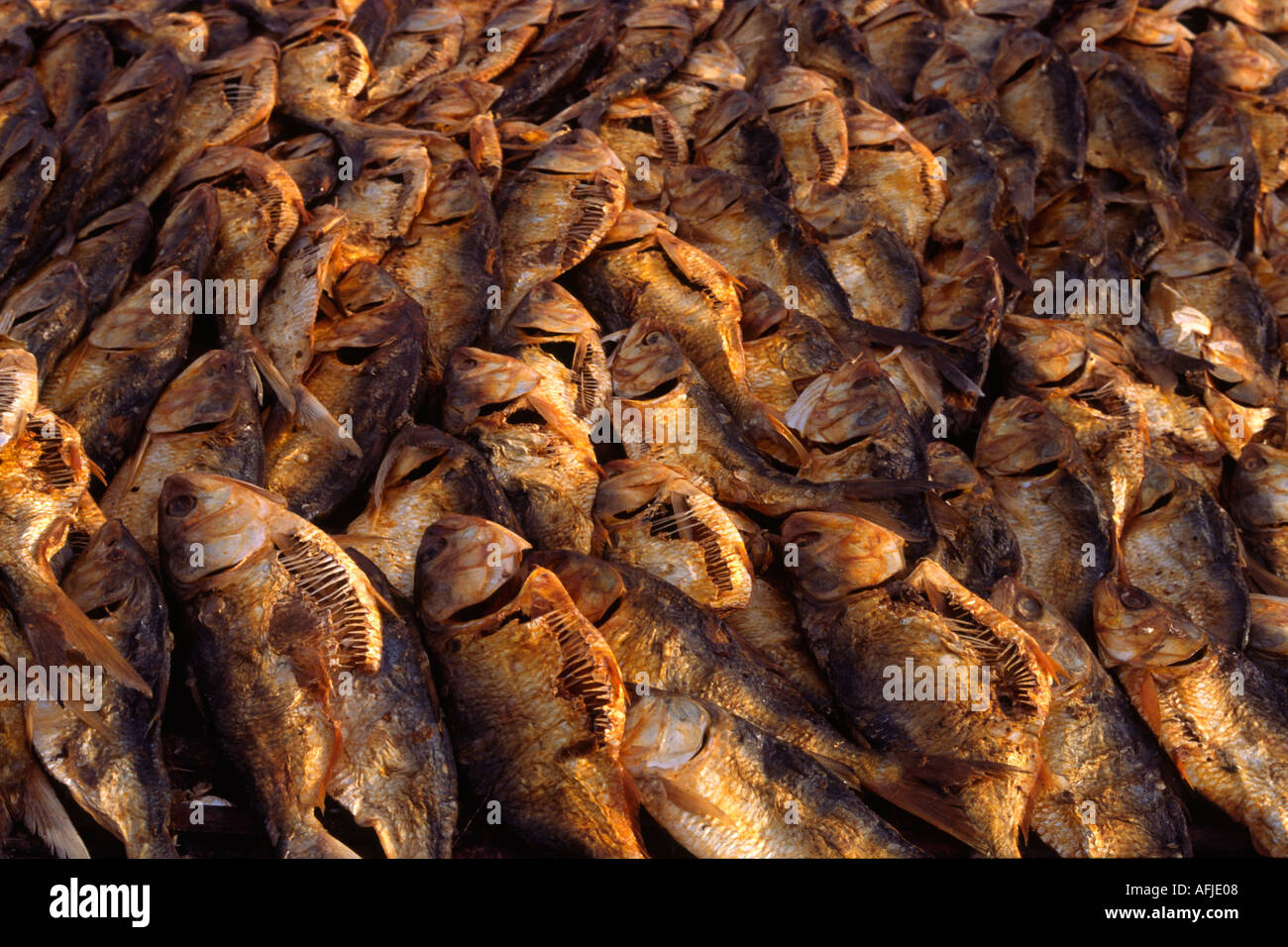 Poisson séché sénégal Banque de photographies et d’images à haute ...