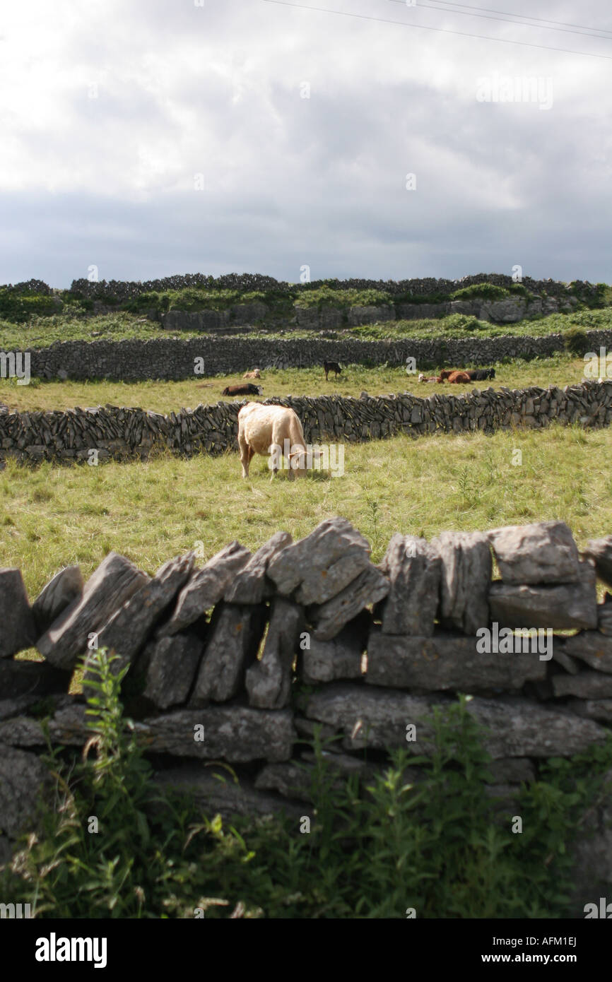 Inish plus Banque de photographies et d’images à haute résolution - Alamy