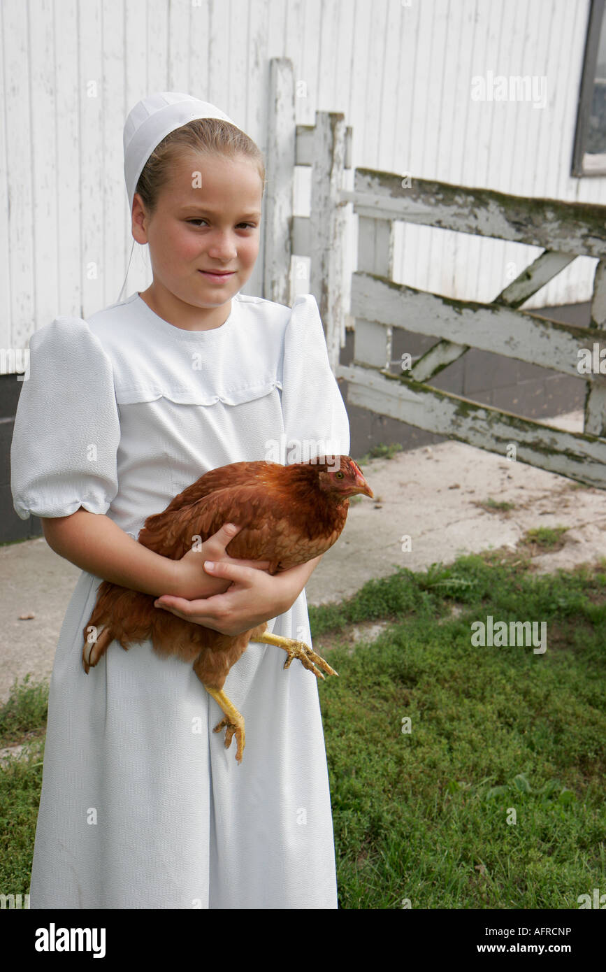 Indiana shipshewana amish farm tour Banque de photographies et d’images ... Indiana shipshewana amish farm tour Banque de photographies et d’images ...