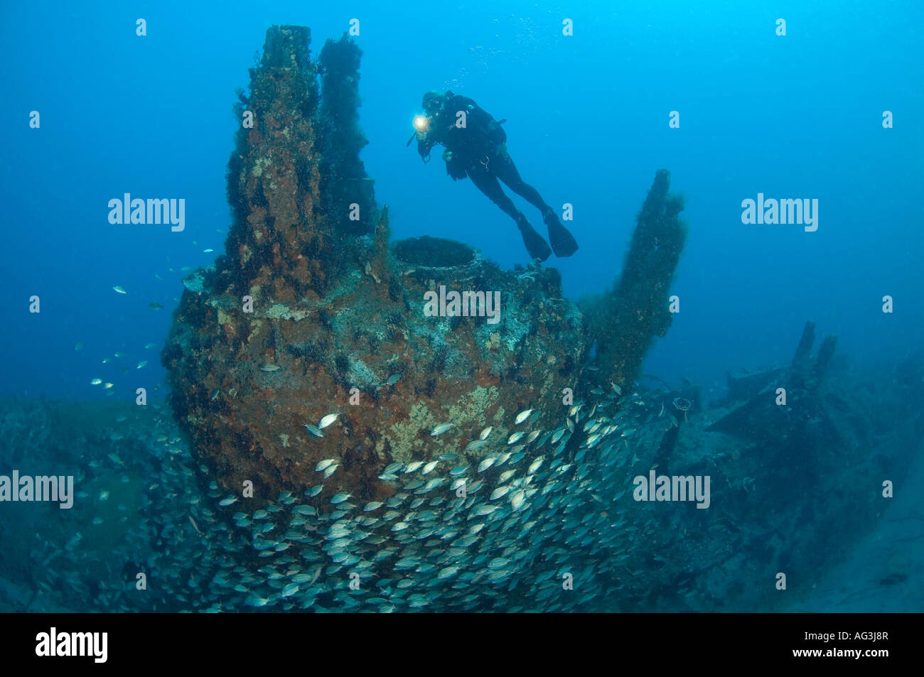 Plongée sous marine sur l'épave de l'U 352, un sous-marin allemand ...