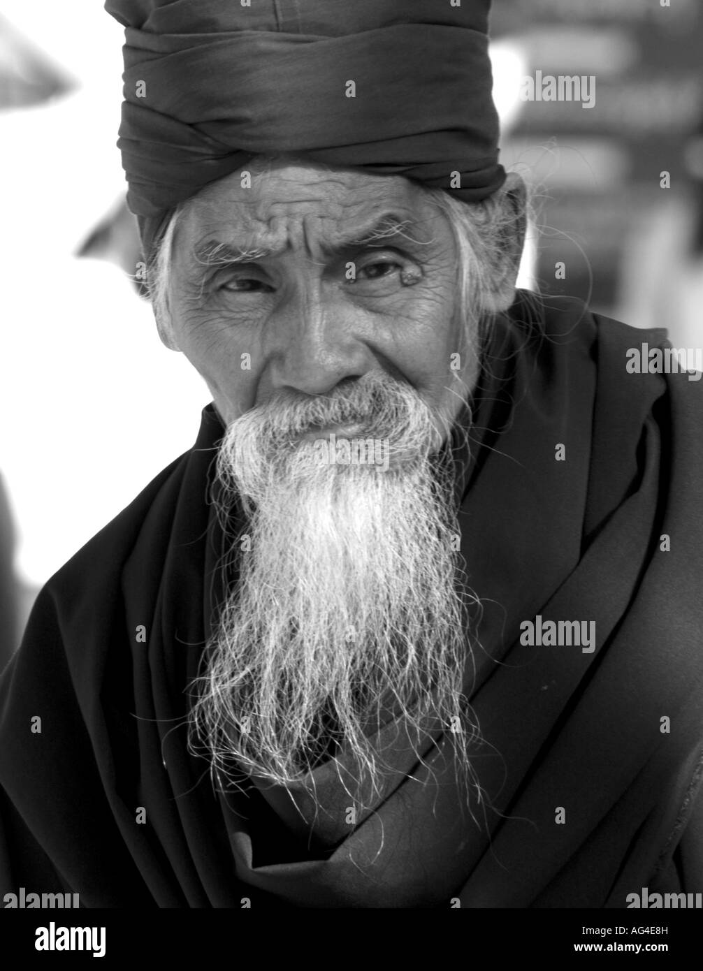 Moine ermite Banque de photographies et d’images à haute résolution - Alamy