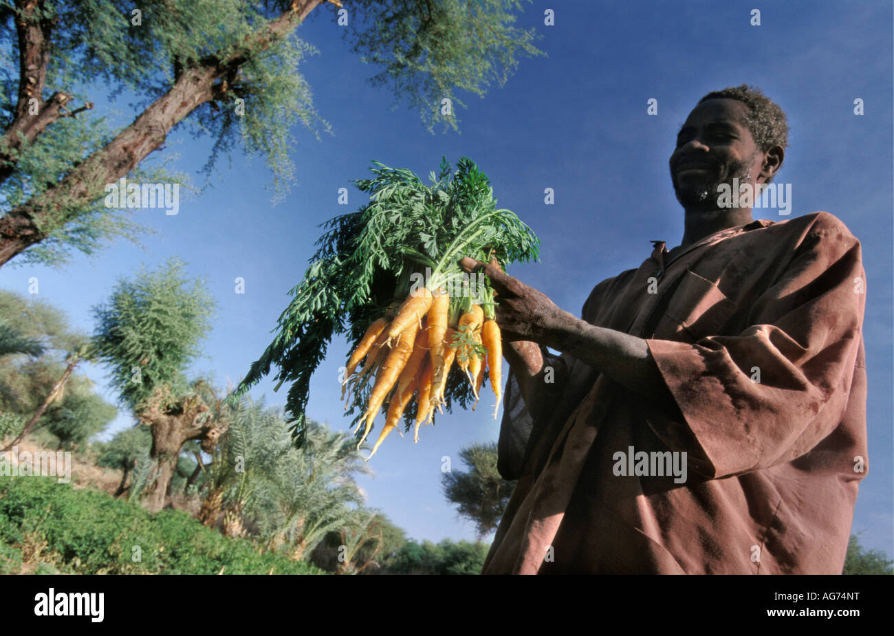 Niger agadez people tuareg tribe Banque de photographies et d’images à ...