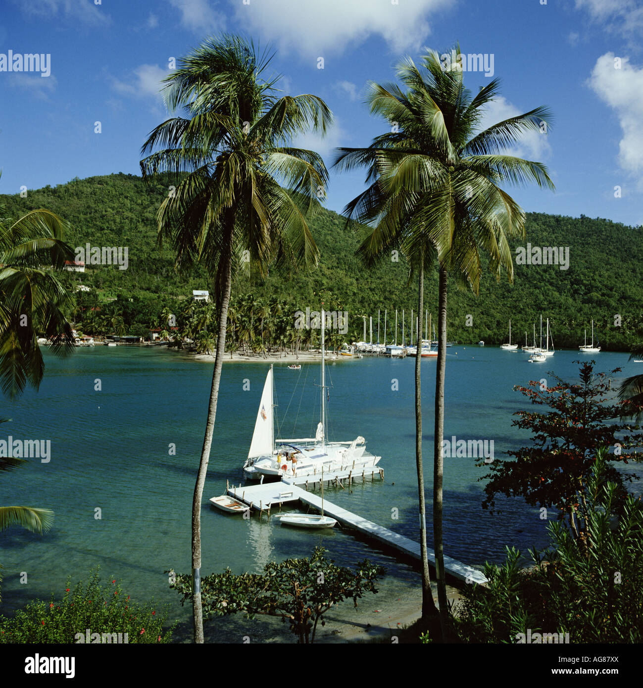 La location de catamaran à Marigot Bay, Sainte-Lucie, Caraïbes Photo ...