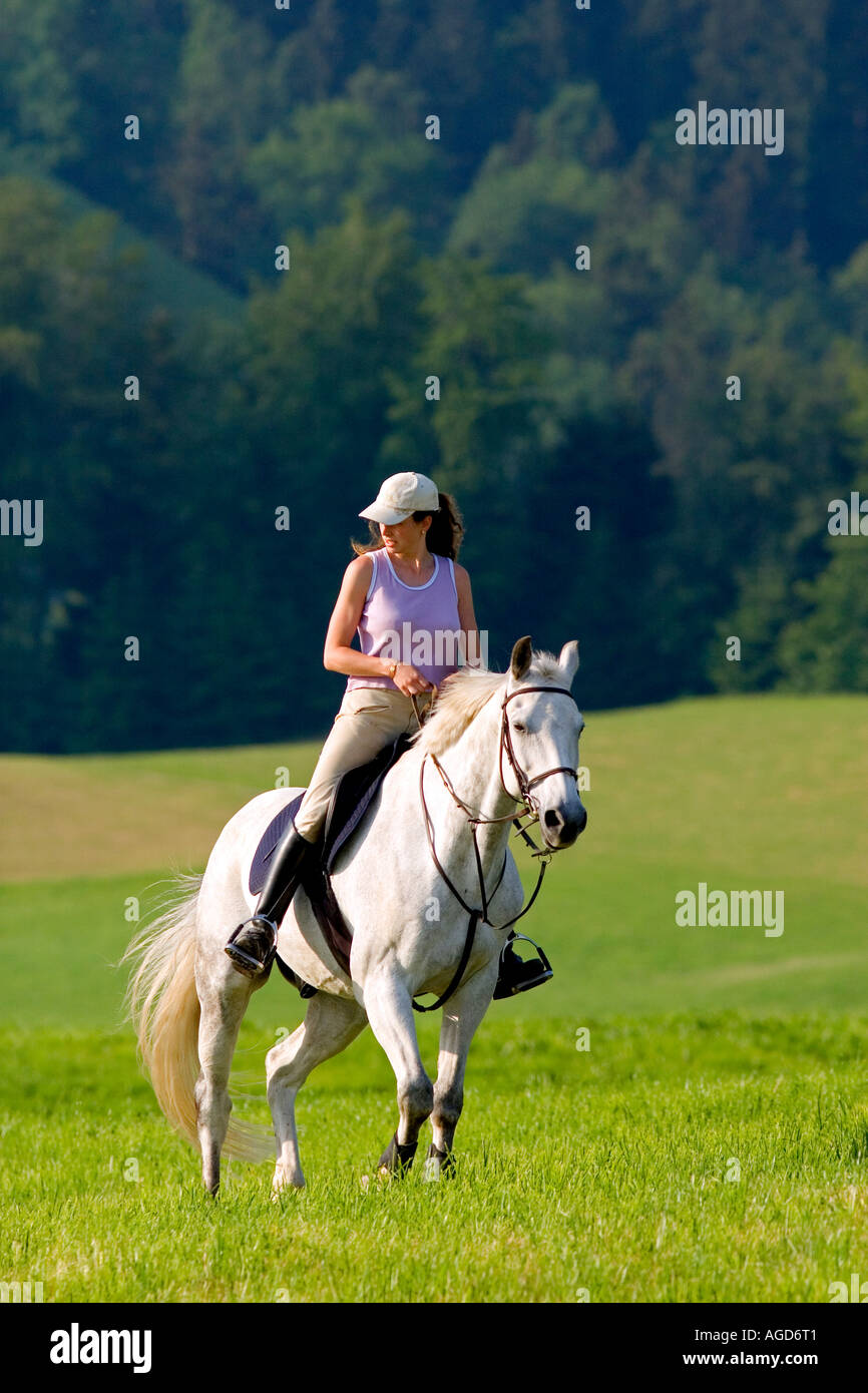 Cavalière a cheval Banque de photographies et d’images à haute ...