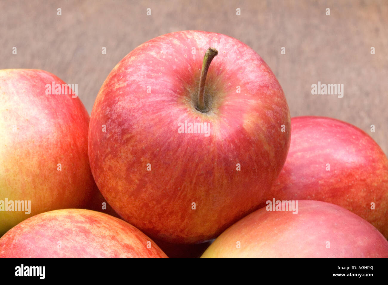 Variété de pommes Banque de photographies et d’images à haute ...
