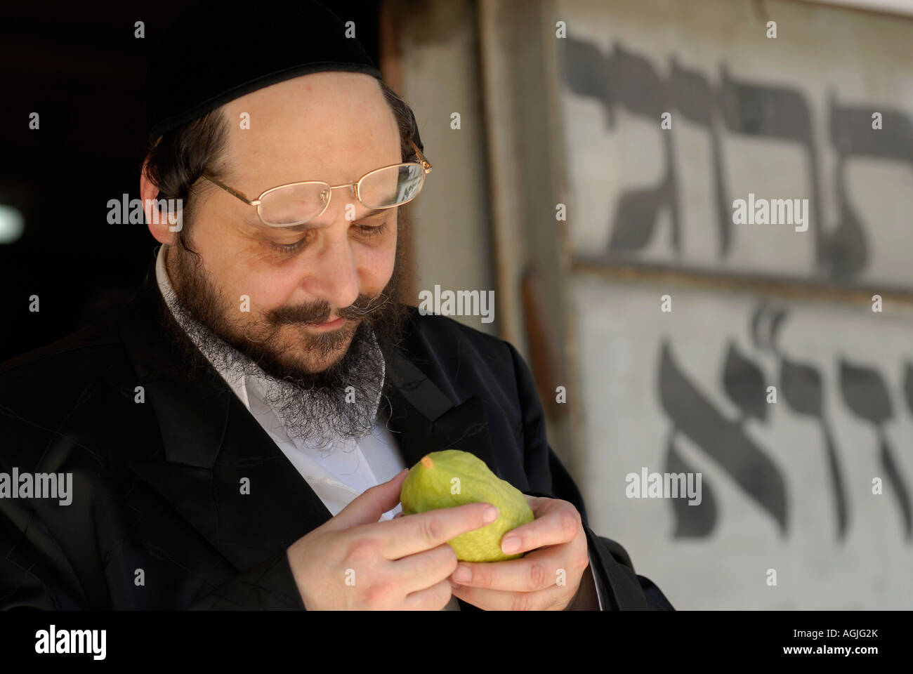 Juif religieux vérifie citron pour défauts avant d'acheter et de l ...