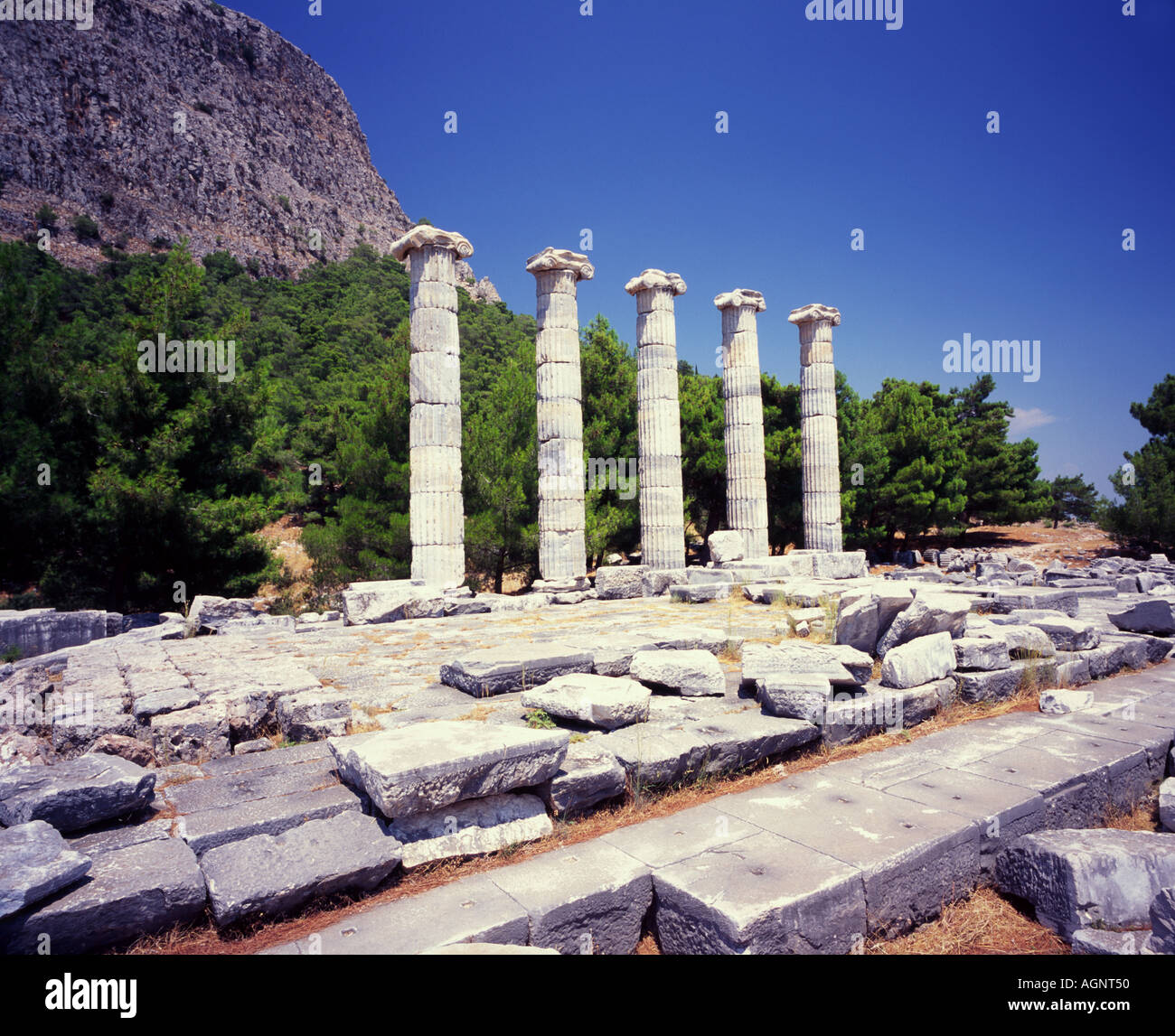 Ancien temple grec Banque de photographies et d’images à haute ...