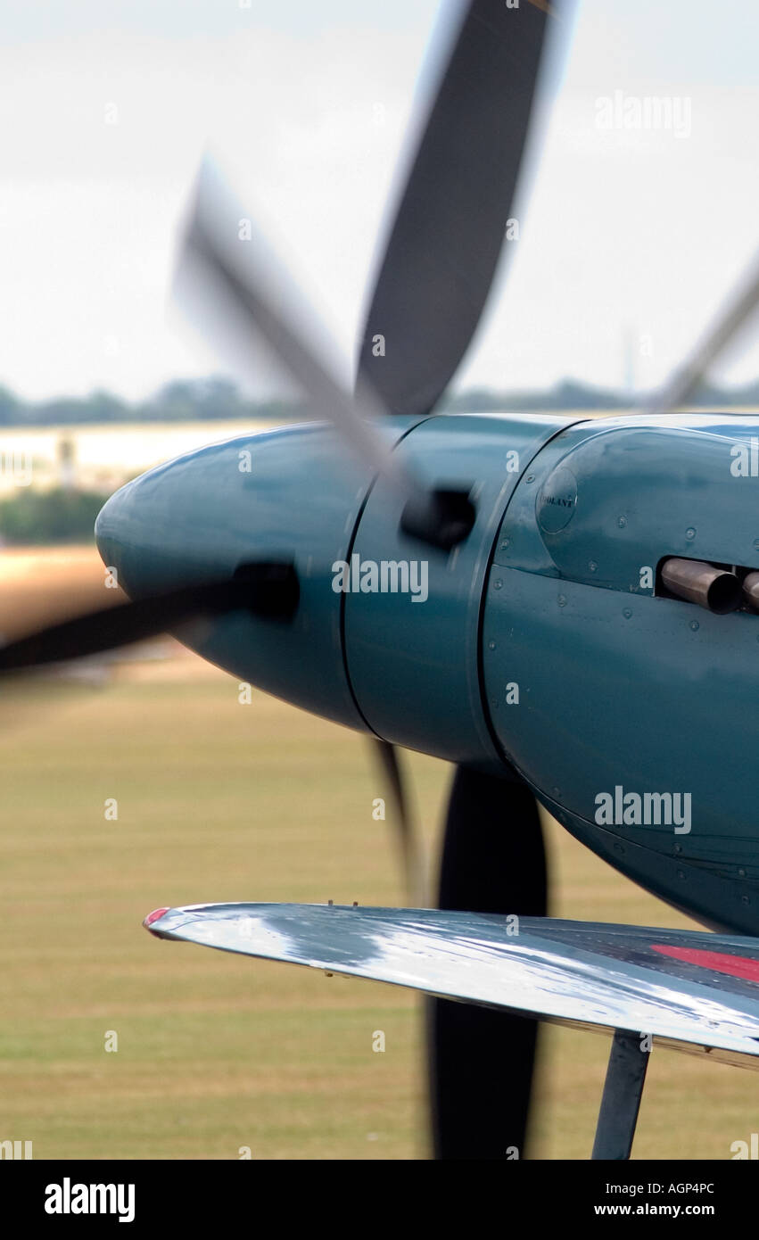 Spitfire Pr Xix Banque d'image et photos - Alamy