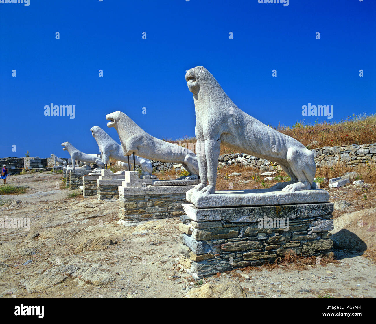 Delos Greece Lion Statues Banque d'image et photos - Alamy